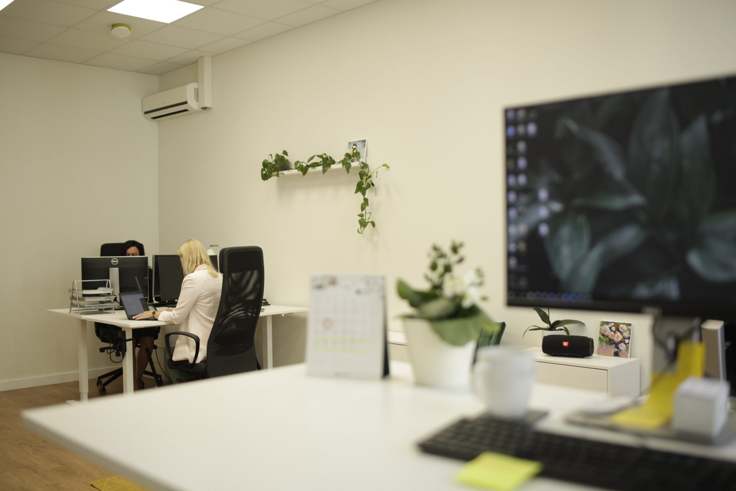 Back end programmētājs/-a — ZZ Dats